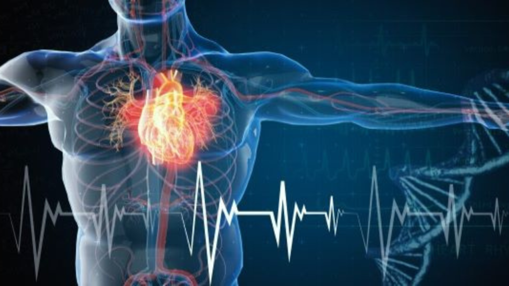 When—and where—can ECG algorithms help humans?